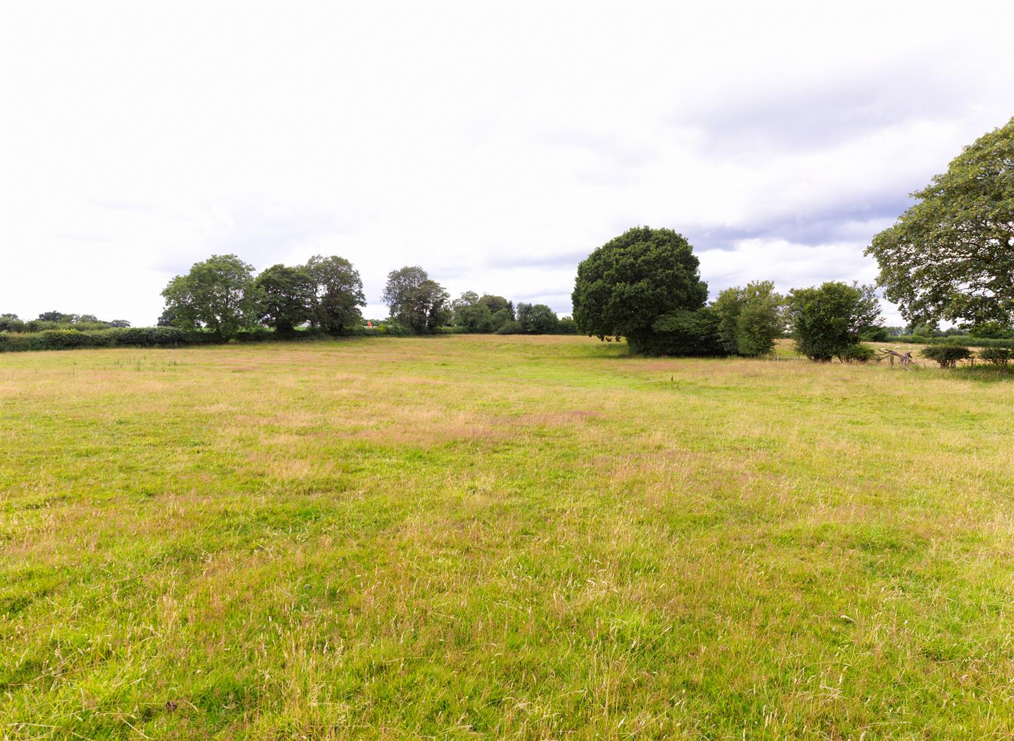 Beech Tree Farm, Whitchurch, SY13 3LT | Estate Agents & Auctioneers